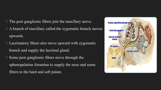 FACIAL NERVE AND ITS APPLIED ANATOMY BY Dr. AASTHA DUBEY | PPTX