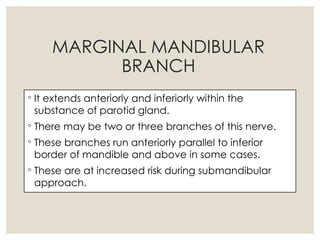 Facial nerve in periodontics and its application | PPTX
