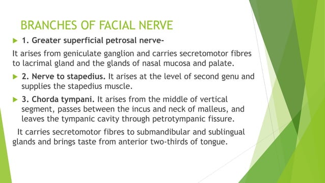 Facial nerve by DR SHIVKUMAR AKULWAD | PPTX | Ear, Nose and Throat ...