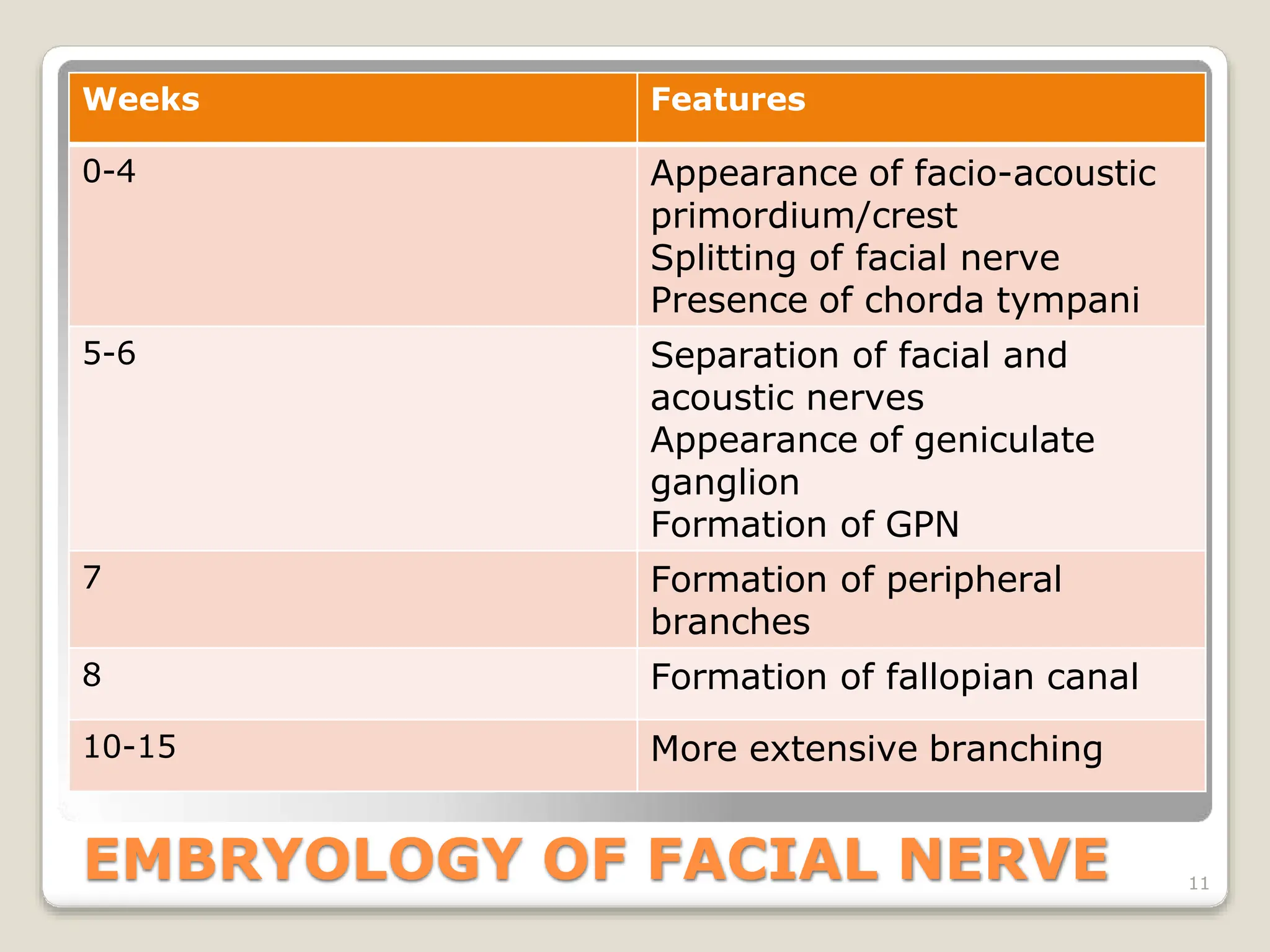 Facial nerve and its extracranial and intracranial rots | PPTX