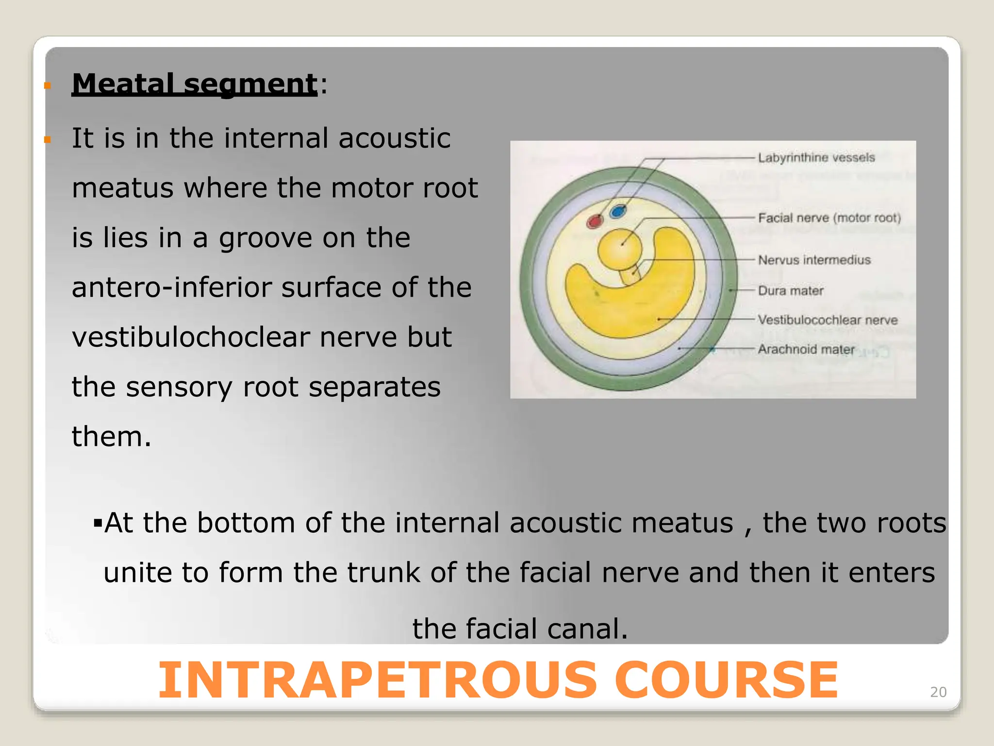 Facial nerve and its extracranial and intracranial rots | PPTX