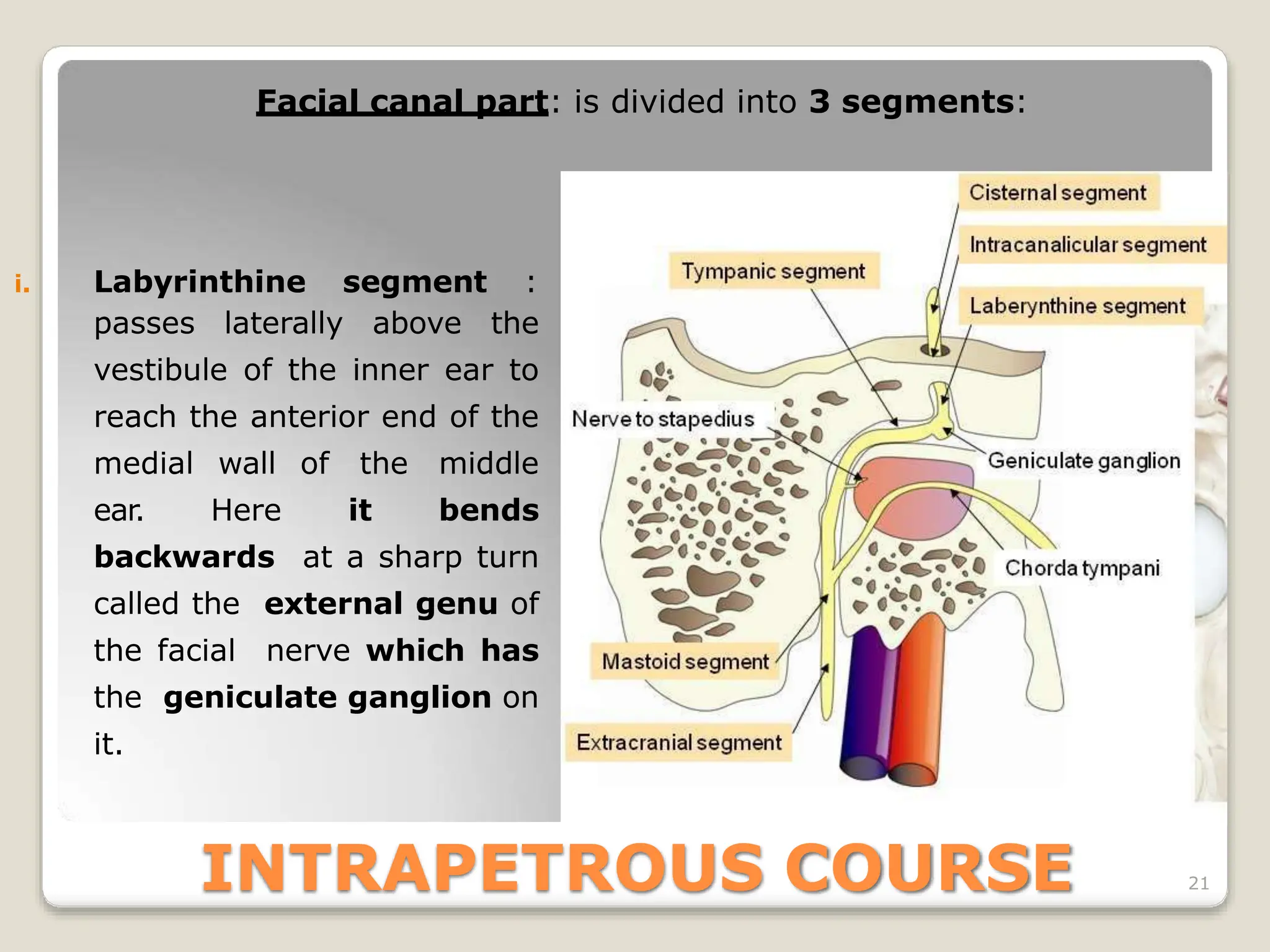 Facial nerve and its extracranial and intracranial rots | PPTX