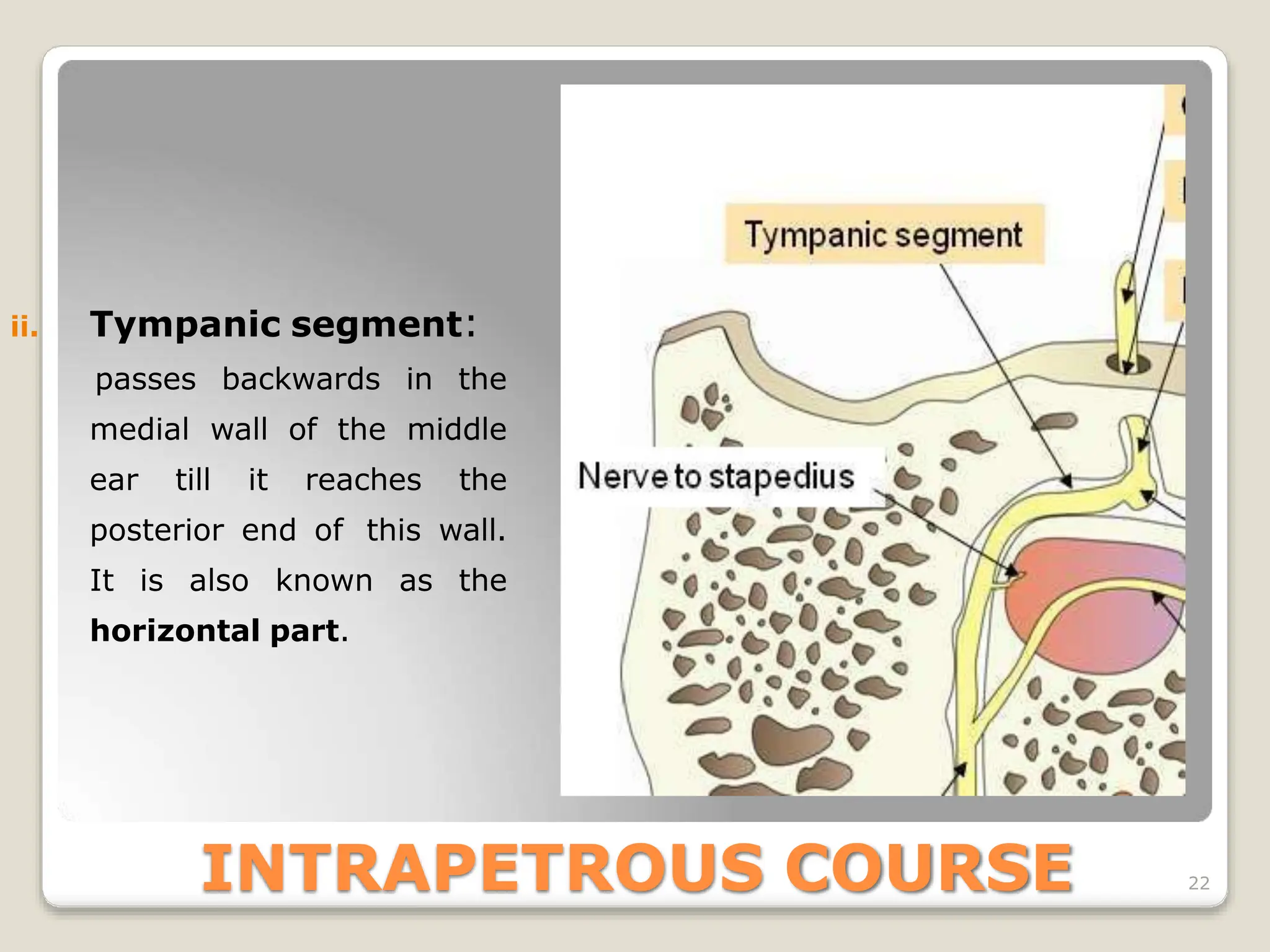 Facial nerve and its extracranial and intracranial rots | PPTX