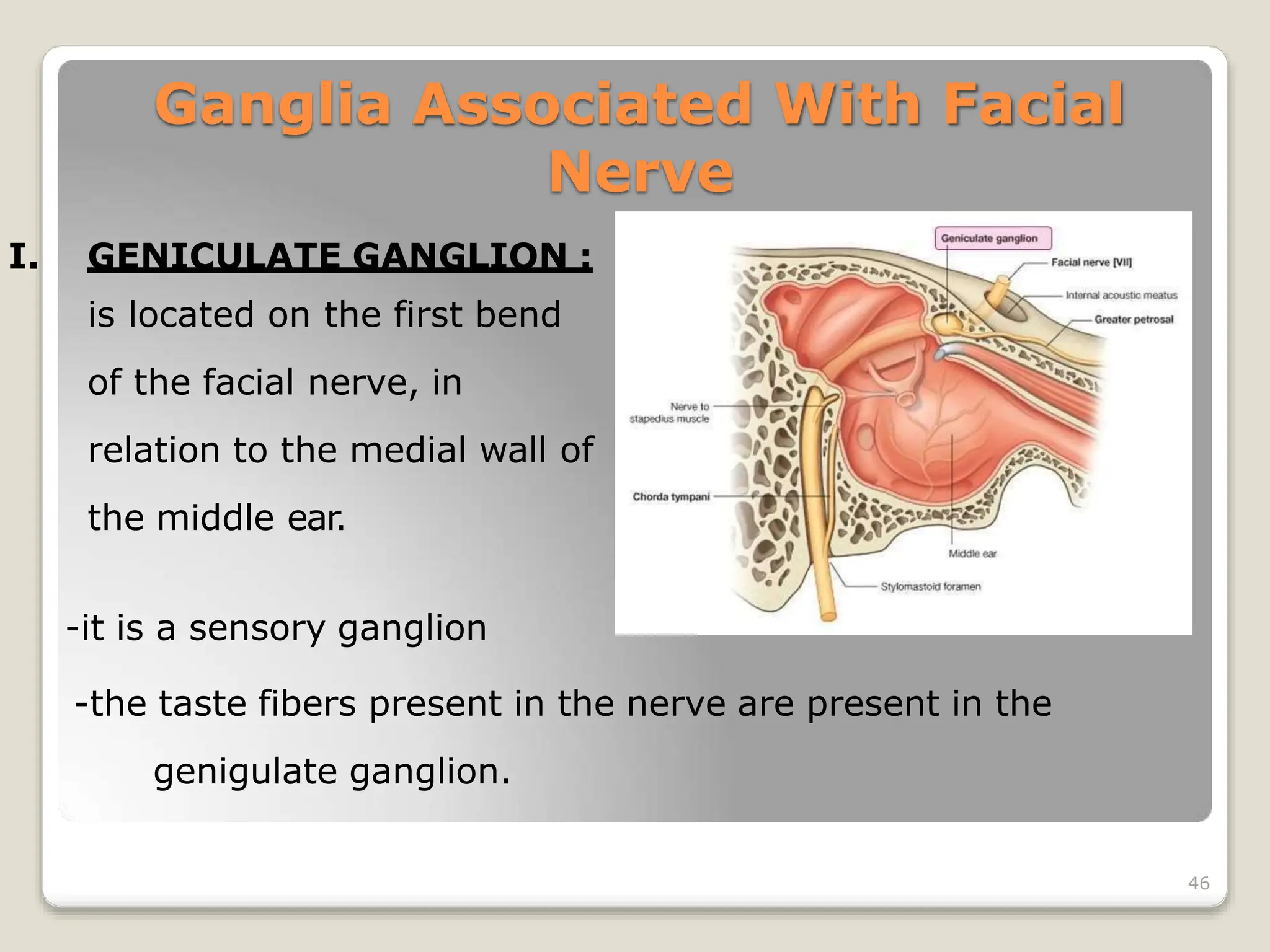 Facial nerve and its extracranial and intracranial rots | PPTX