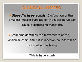 Facial nerve and its extracranial and intracranial rots | PPTX