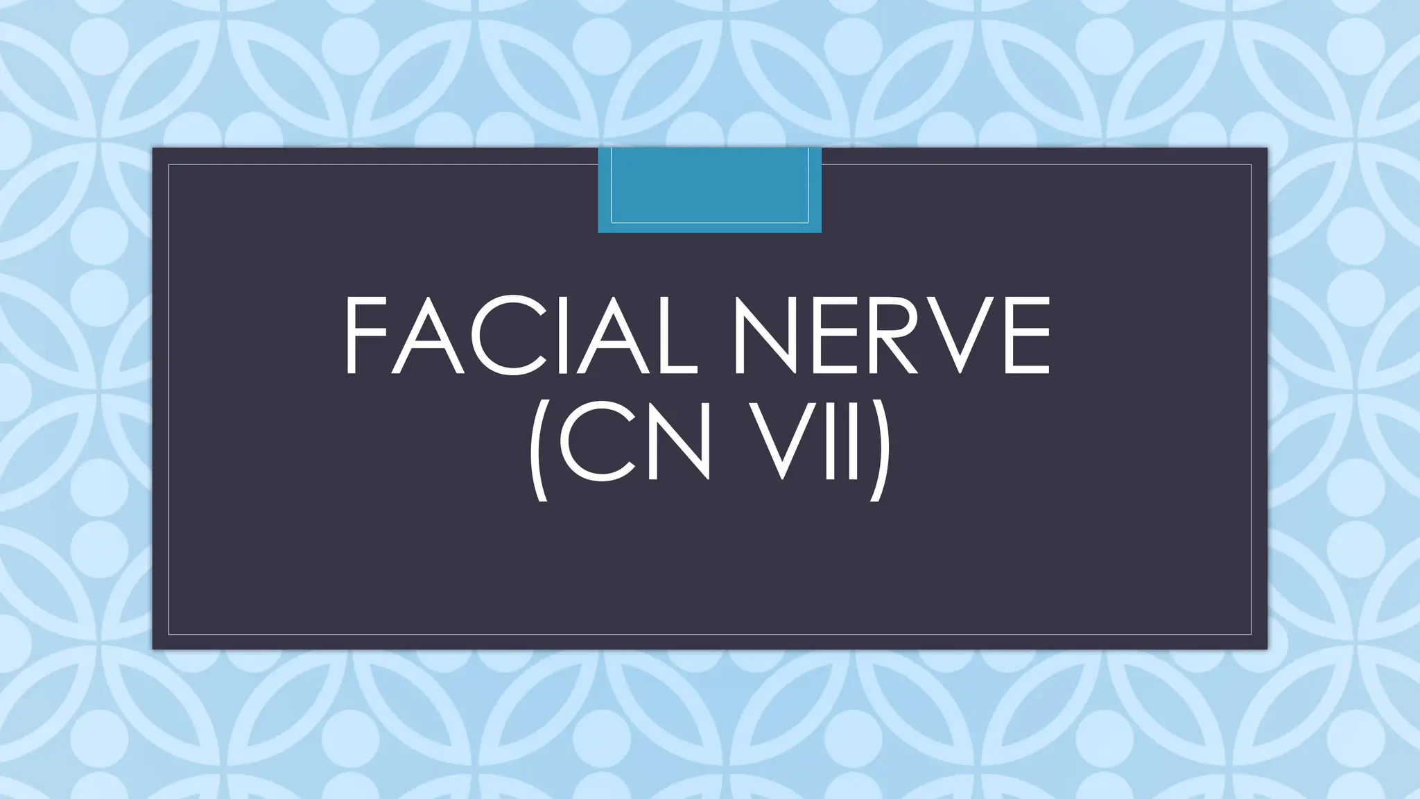 FACIAL NERVE (CN VII) anatomy and details | PPTX
