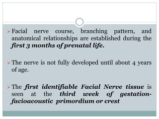 Facial nerve done | PPTX