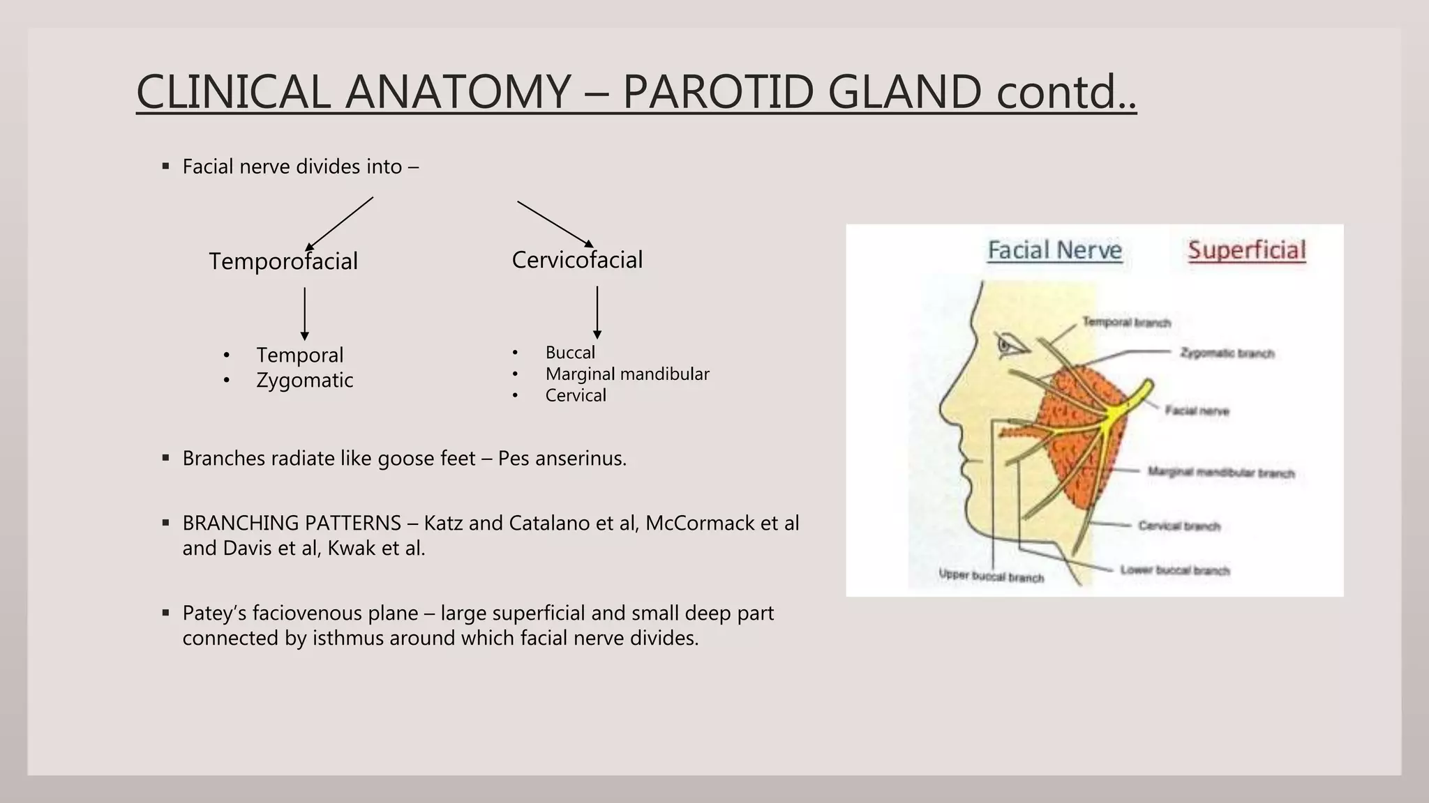 FACIAL NERVE DYSFUNCTION AFTER SUPERFICIAL PAROTIDECTOMY WITH OR.pptx