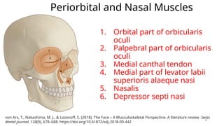 Facial Nerve & Facial Muscles Anatomy - EGA.pptx
