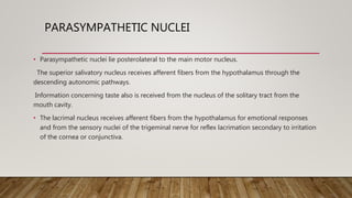 Facial nerve | PPTX