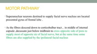 FACIAL NERVE FINAL 6THCRANIAL NERVE.pptx
