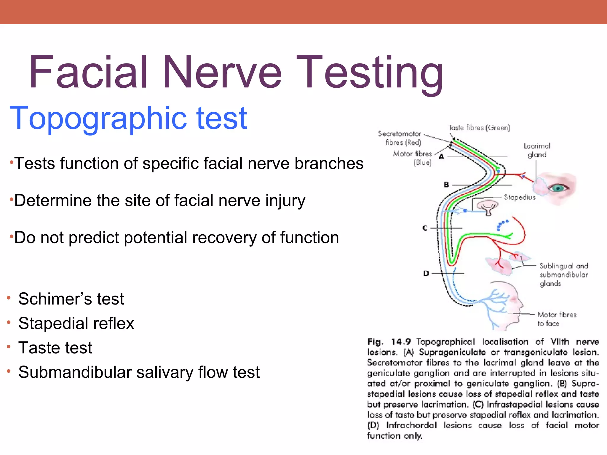 Facial nerve injury | PPT