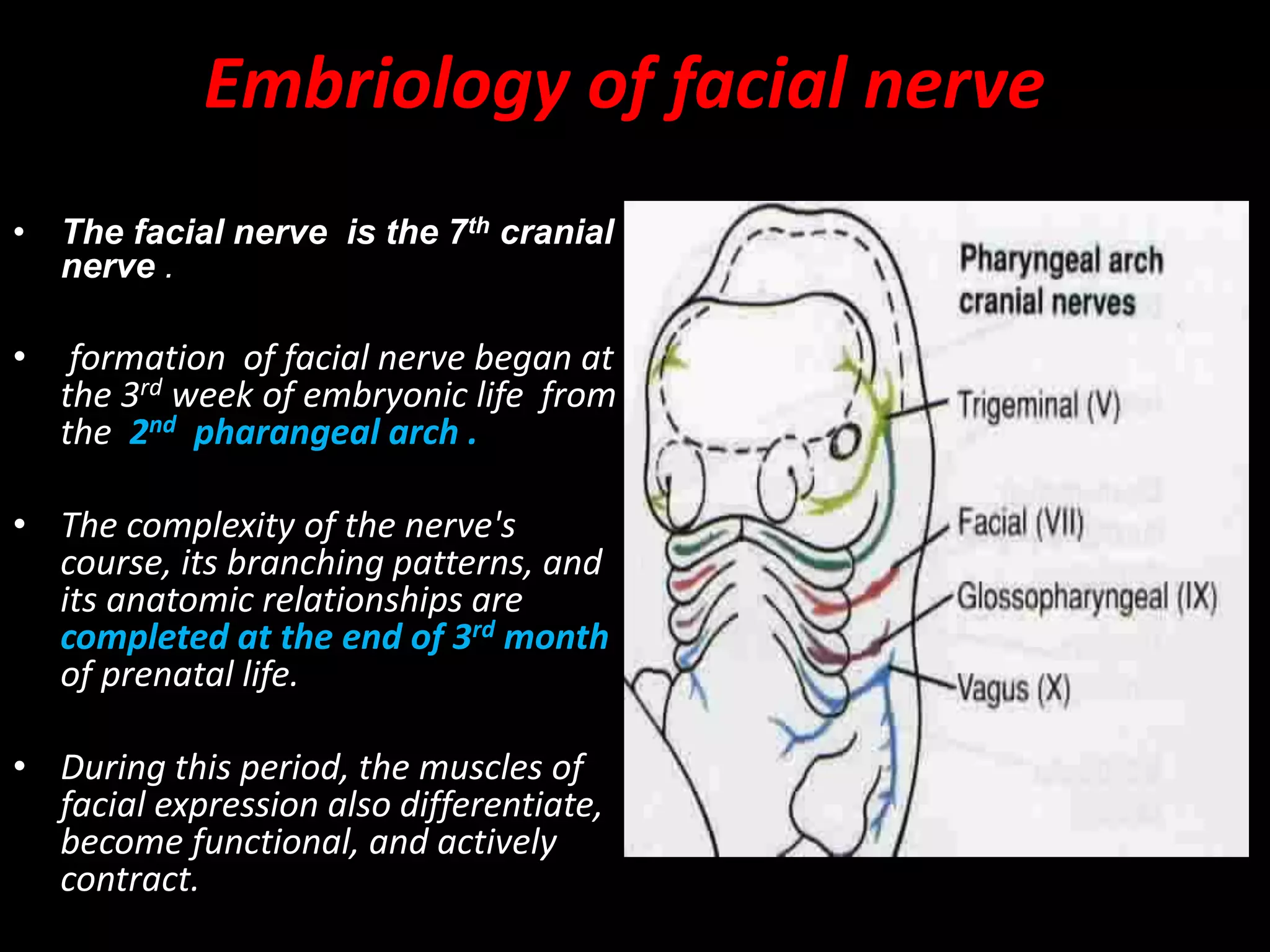 Facial nerve injury and reanimation | PPTX