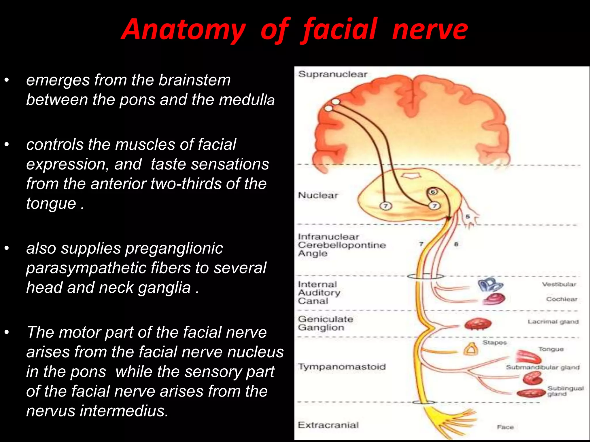 Facial nerve injury and reanimation | PPTX