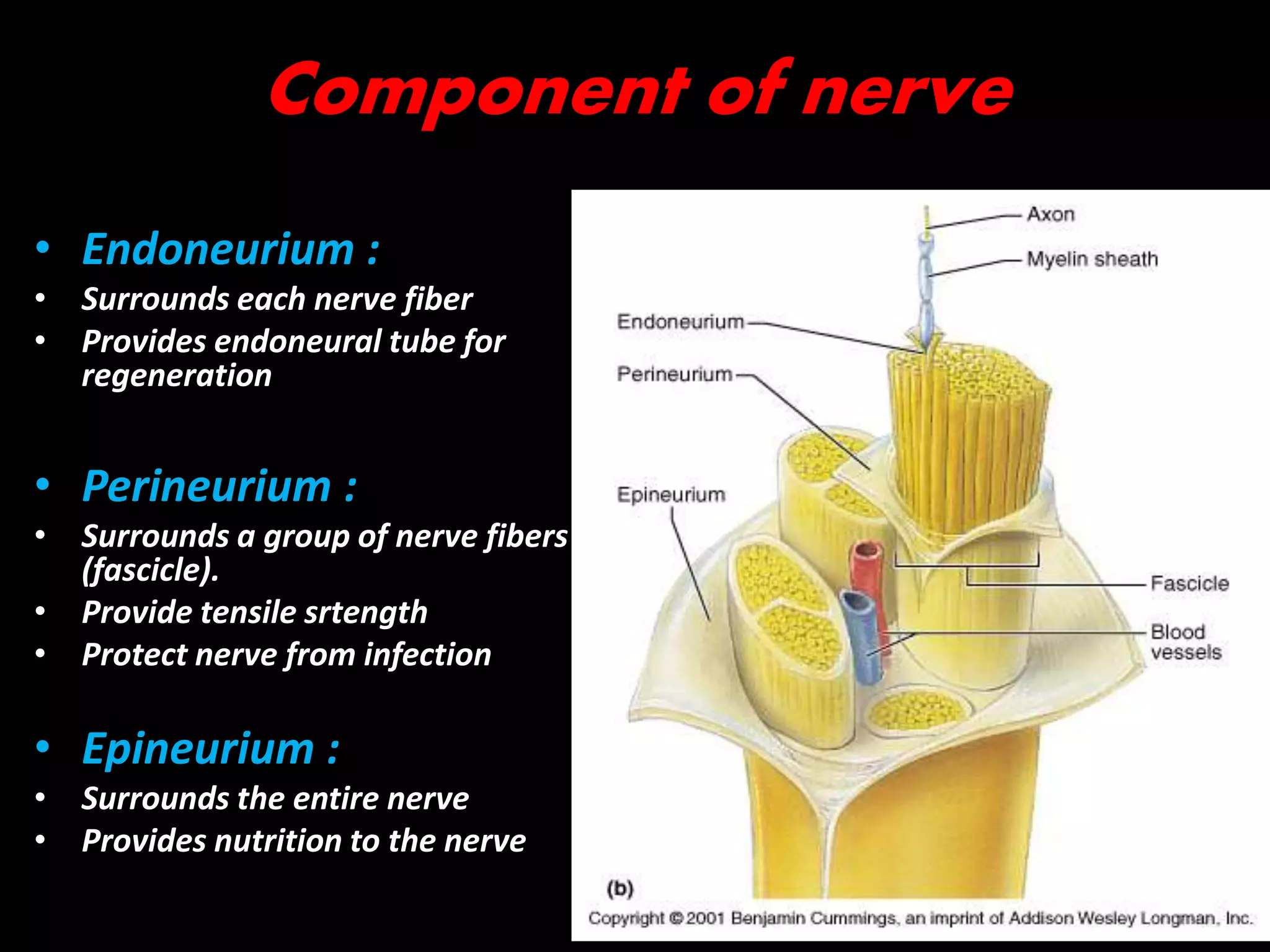 Facial nerve injury and reanimation | PPTX