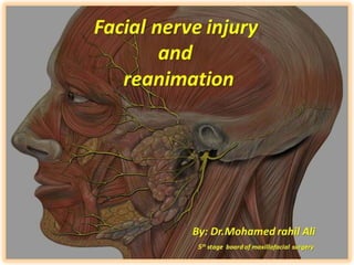 Facial nerve injury and reanimation | PPTX