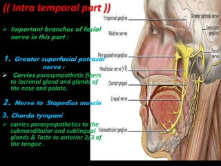 Facial nerve injury and reanimation | PPTX