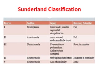 Facial Nerve lesions | PPTX