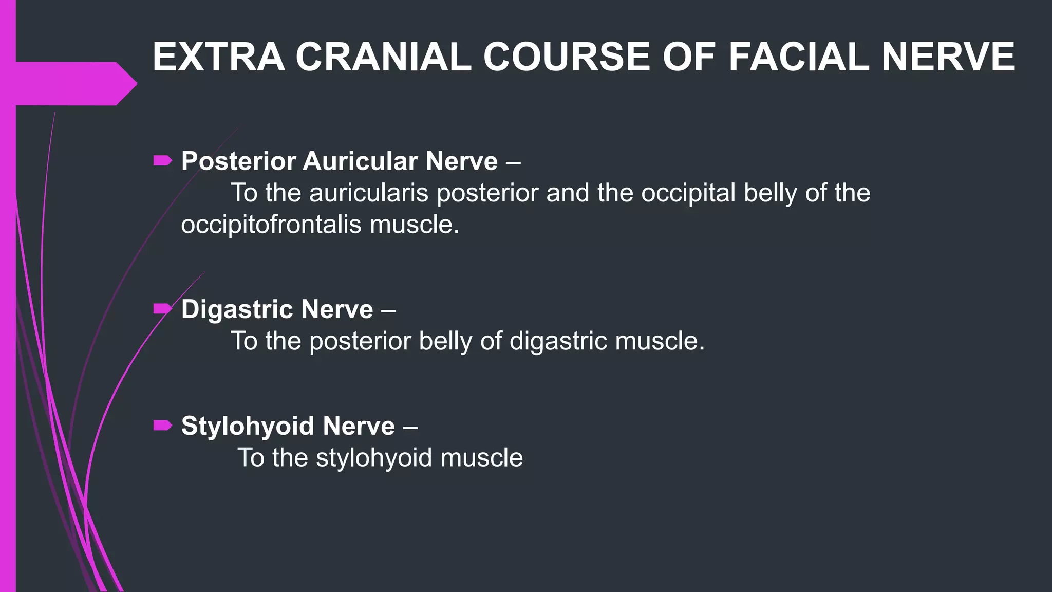 Facial nerve | PPTX