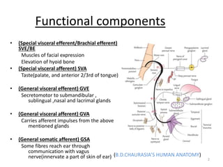 Facial nerve - prosthodontic implications | PPTX