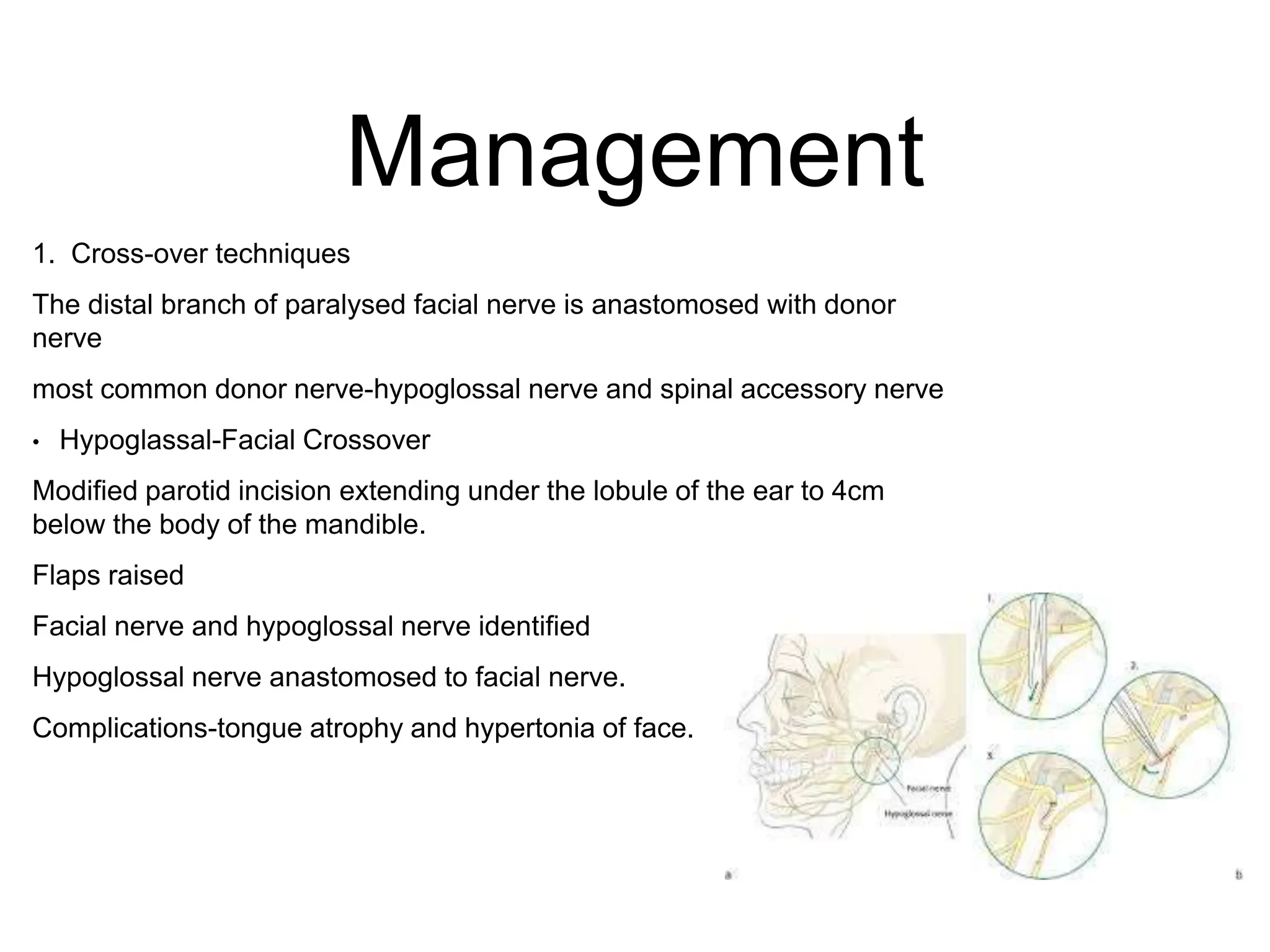 Facial nerve palsy.7th cranial nerve of the system | PPTX