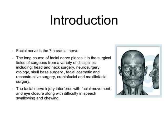 Facial nerve palsy.7th cranial nerve of the system | PPTX | Death ...