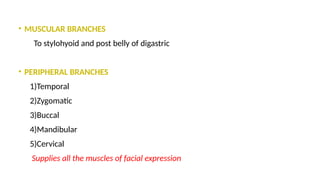Facial Nerve Anatomy, Diseases And its Management | PPTX
