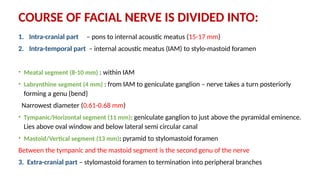 Facial Nerve Anatomy, Diseases And its Management | PPTX