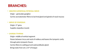 Facial Nerve Anatomy, Diseases And its Management | PPTX