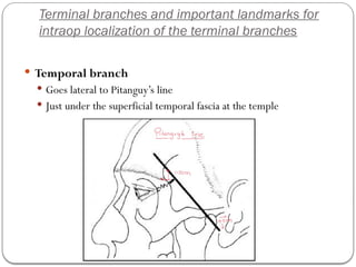 FACIAL NERVE PALSY AND IT'S MANAGEMENT | PPTX