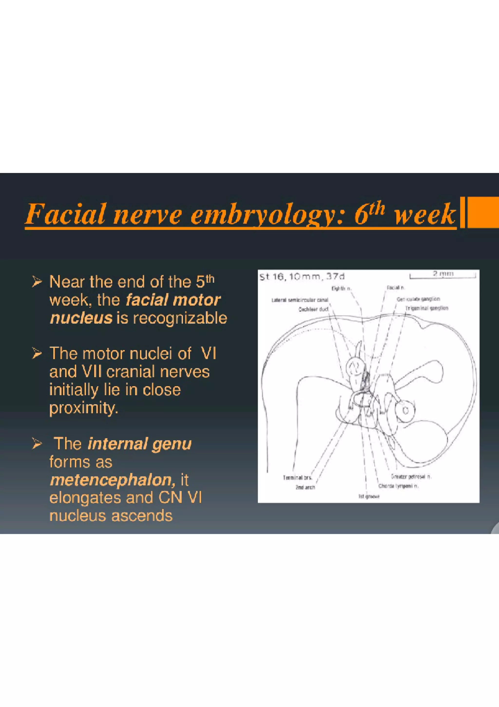 Facial Nerve Paralysis.pdf
