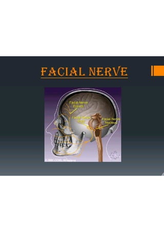 Facial Nerve Paralysis.pdf