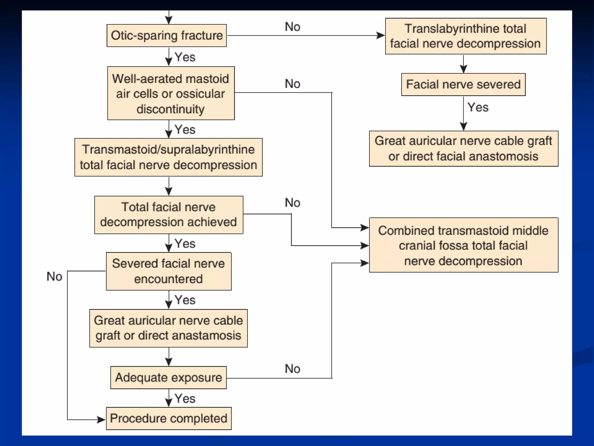 Facial nerve paralysis Dr. M. Erami | PDF