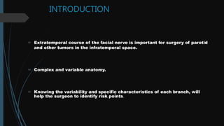Facial nerve extratemporal | PPTX