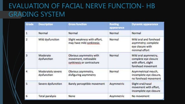 Facial nerve extratemporal | PPT