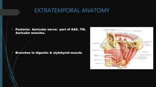Facial nerve extratemporal | PPTX