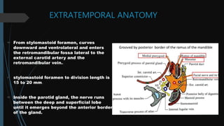 Facial nerve extratemporal | PPTX