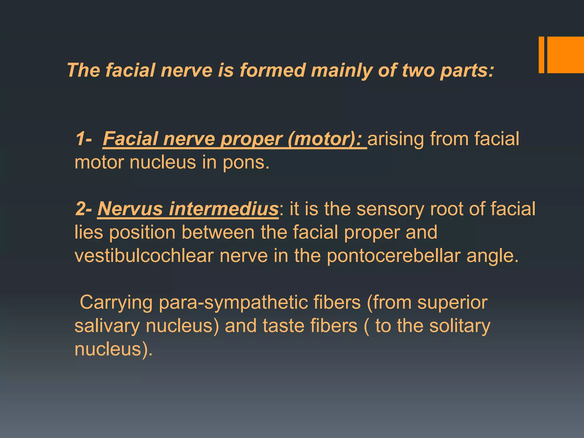 Facial nerve ppt roger original | PPTX