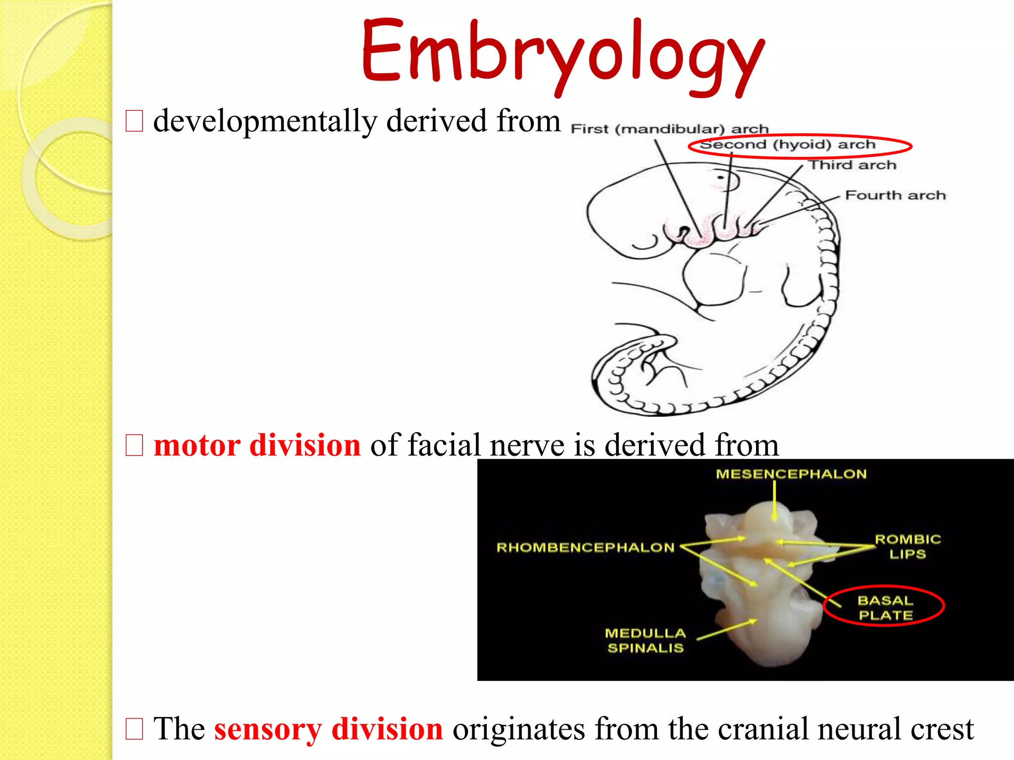 Facialnerve | PPTX
