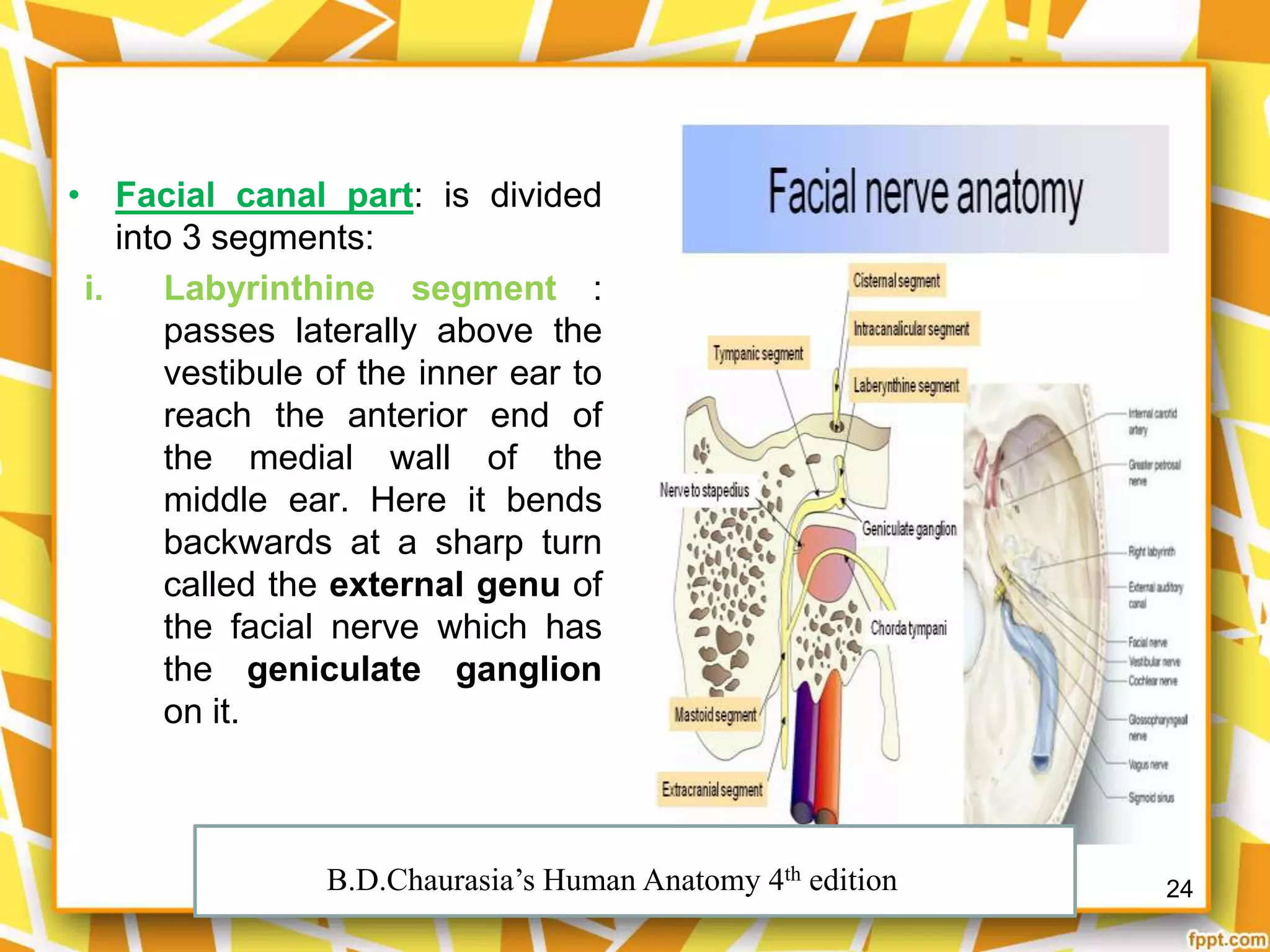 Facial nerve PRESENTATION | PPTX