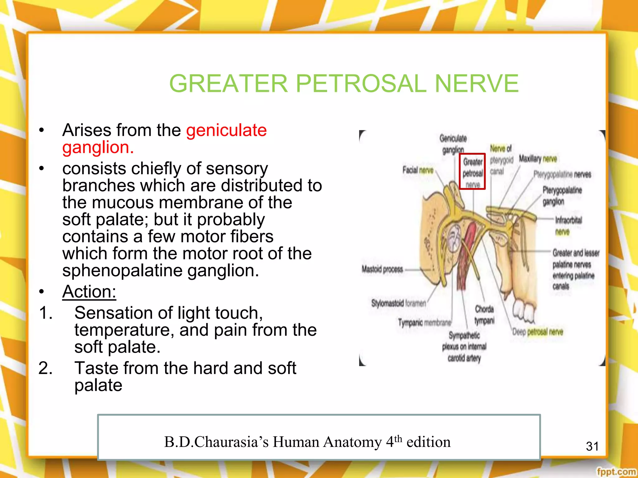 Facial nerve PRESENTATION | PPTX
