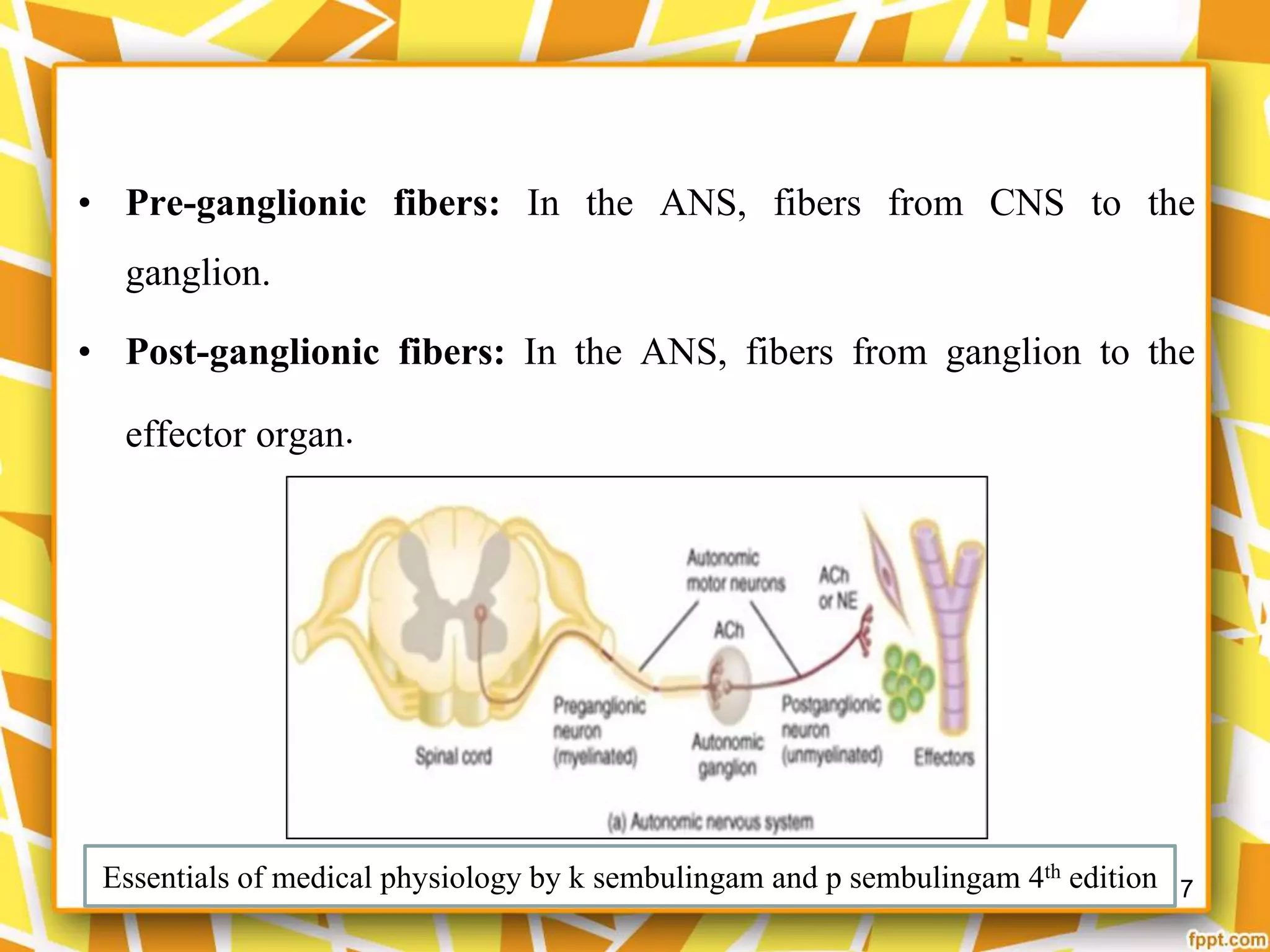 Facial nerve PRESENTATION | PPTX