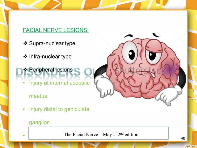 Facial nerve PRESENTATION | PPTX