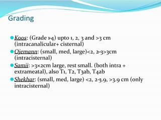Facial Nerve Preservation In Vestibular Schwannoma.pptx