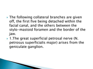 Facial nerves | PPTX