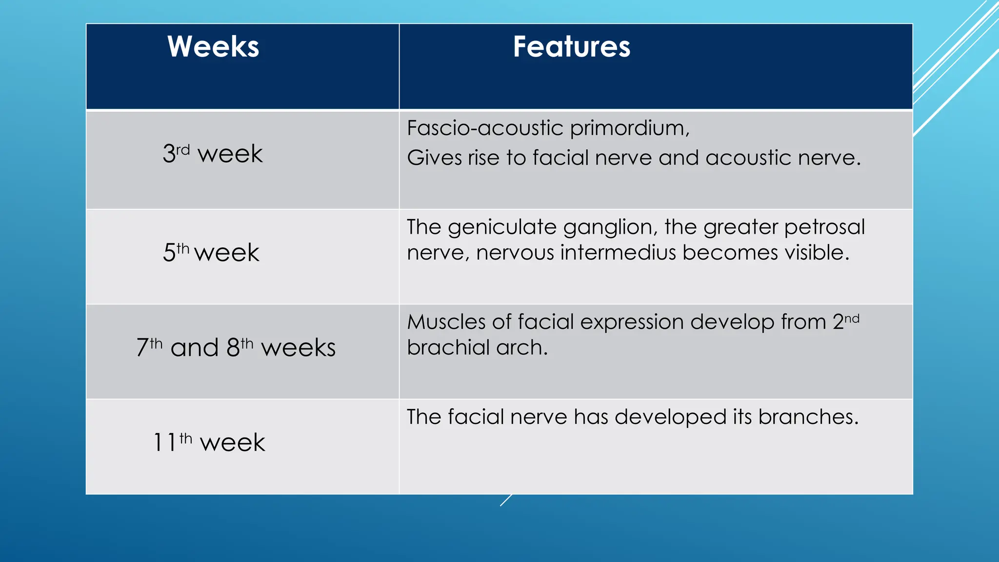 FACIAL NERVE by DR.M.GAYATHRI , POST GRADUATE | PPTX