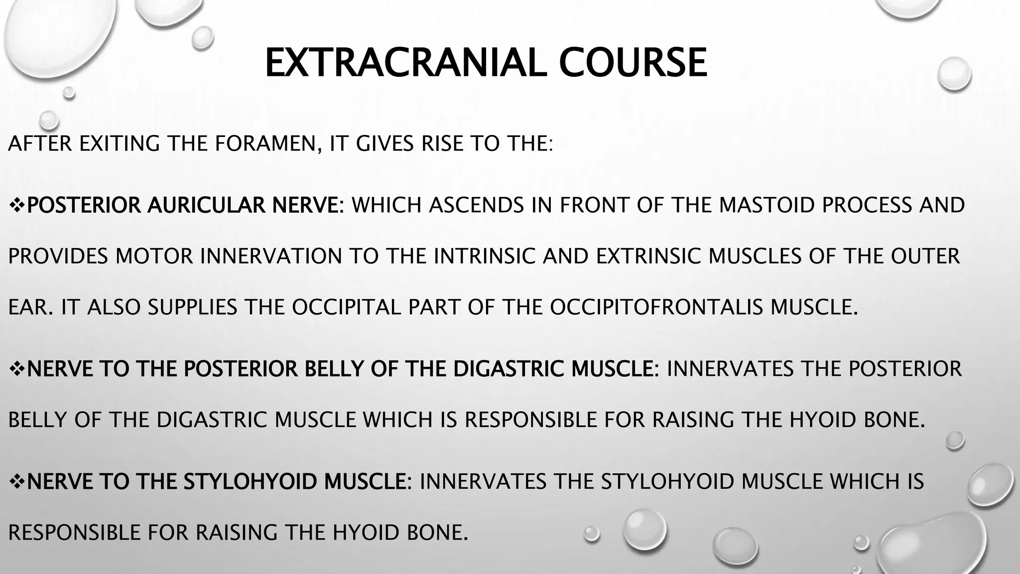 Facial nerve seminar | PPTX