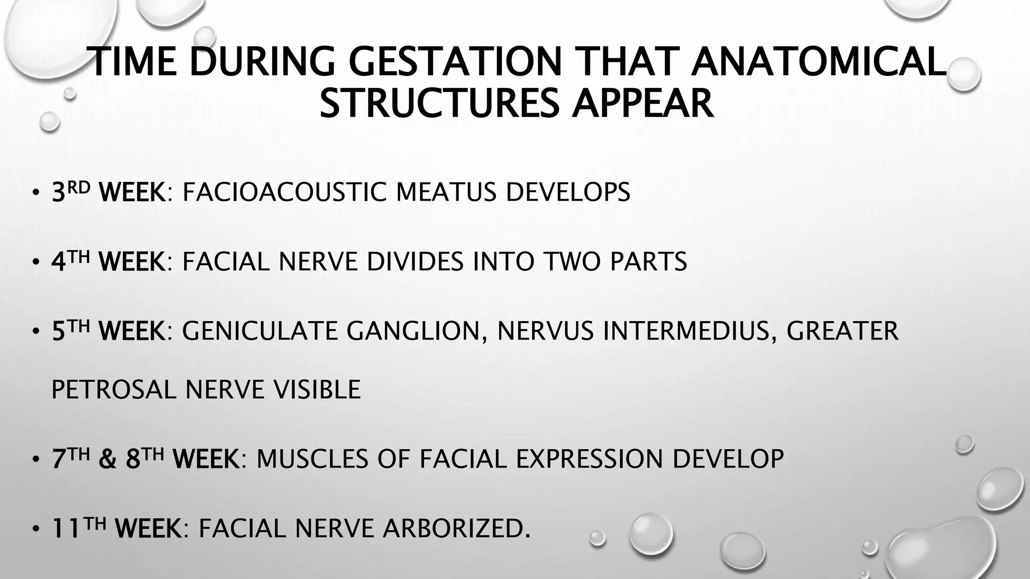 Facial nerve seminar | PPTX