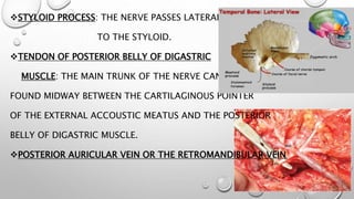 Facial nerve seminar | PPTX