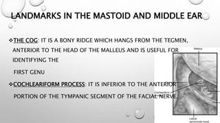 Facial nerve seminar | PPTX
